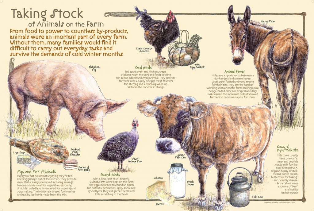 Farm – Horry County Museum